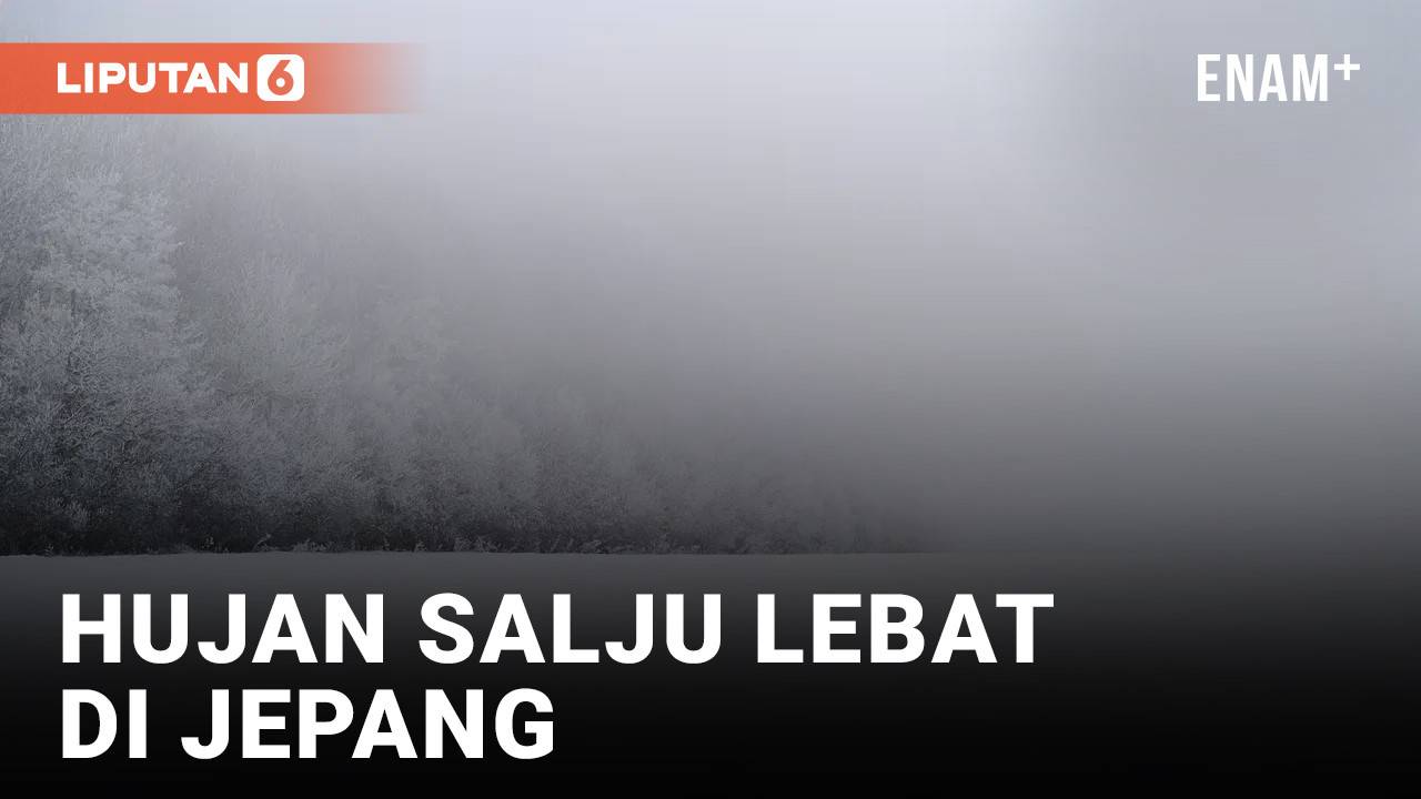 Hujan Salju Lebat, 8 Orang Meninggal di Jepang - Liputan6.com | Vidio