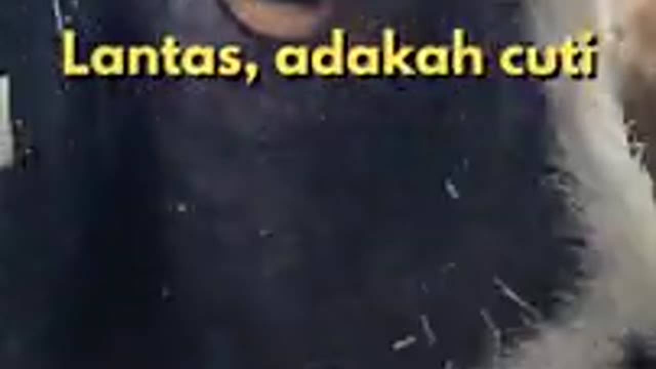 Adakah Cuti Bersama Idul Adha 2023? - Shorts