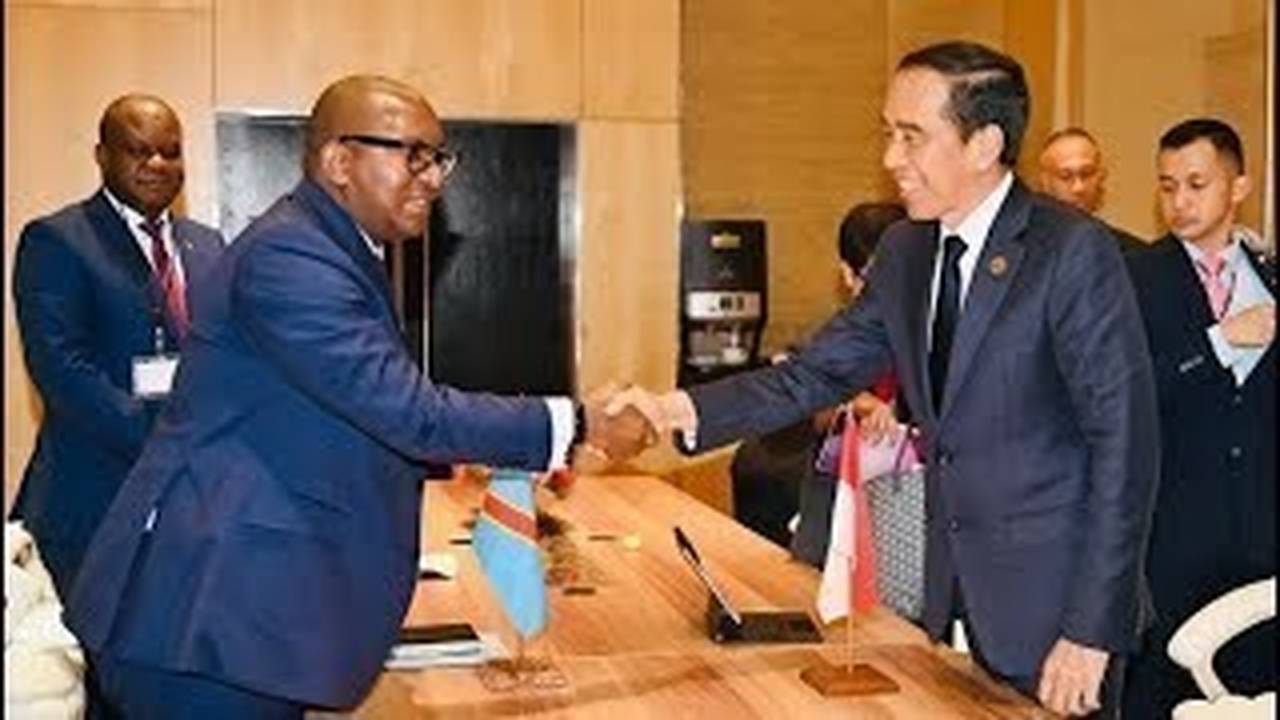 Pertemuan Bilateral dengan PM Republik Demokratik Kongo, Johannesburg ...
