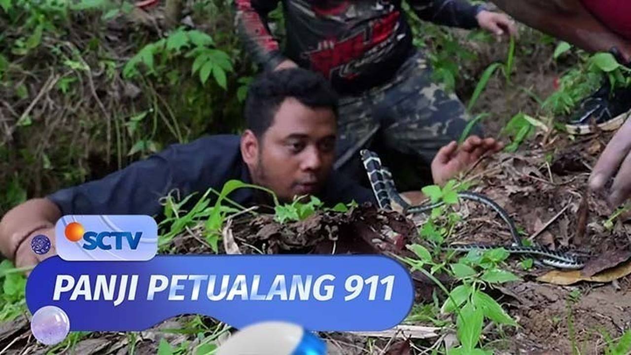WAH! Panji Bertemu 2 Anak King Kobra Sekaligus | Panji Petualang 911 ...
