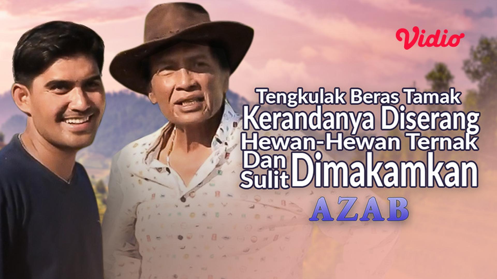 Streaming Tengkulak Beras Tamak Kerandanya Diserang Hewan-Hewan Ternak ...