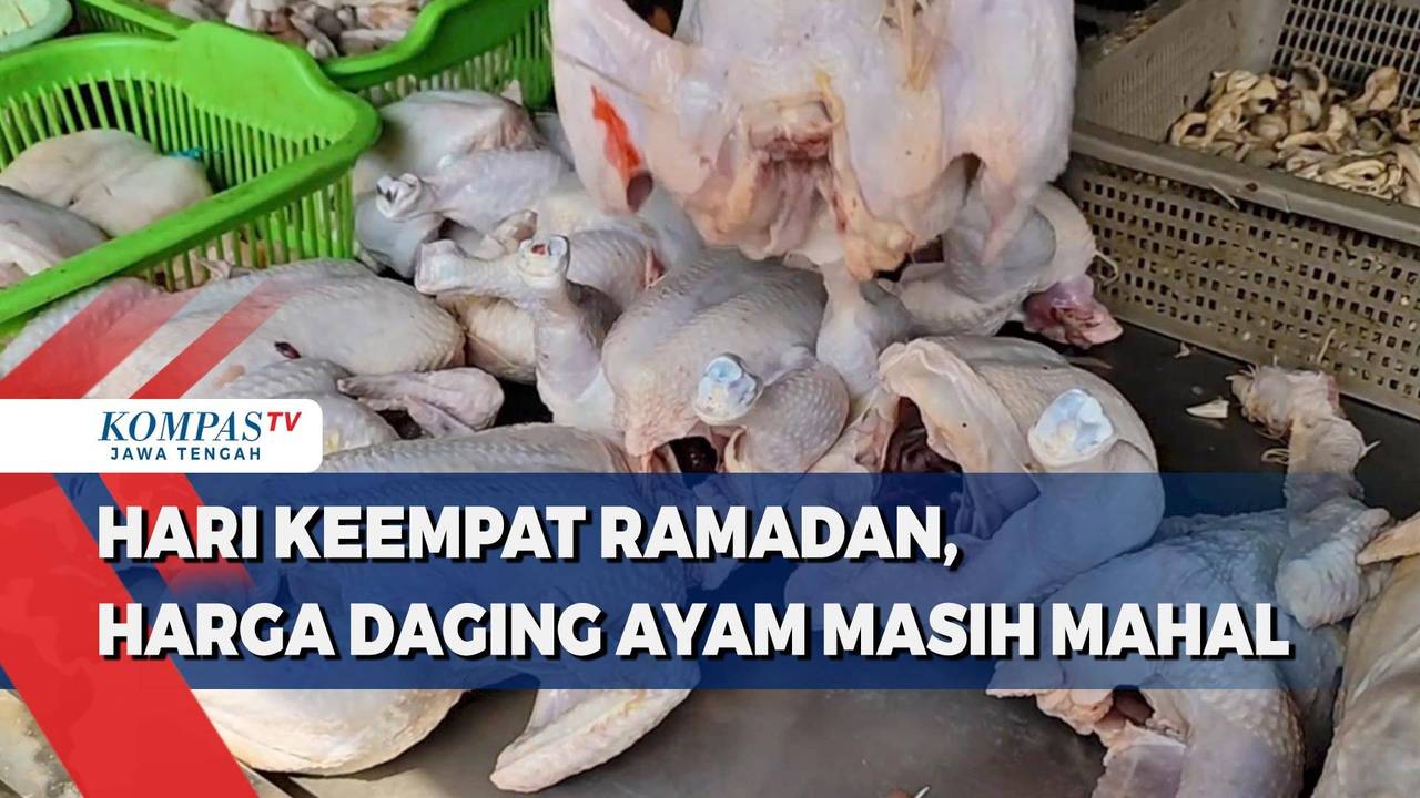 Hari Keempat Ramadan, Harga Daging Ayam Masih Mahal - Kompas TV