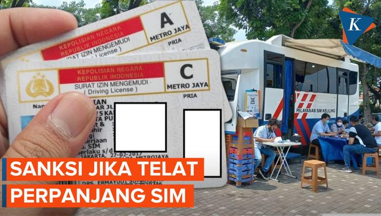 Nonton Video Surat Izin Mengemudi (Sim) Terbaru | Vidio