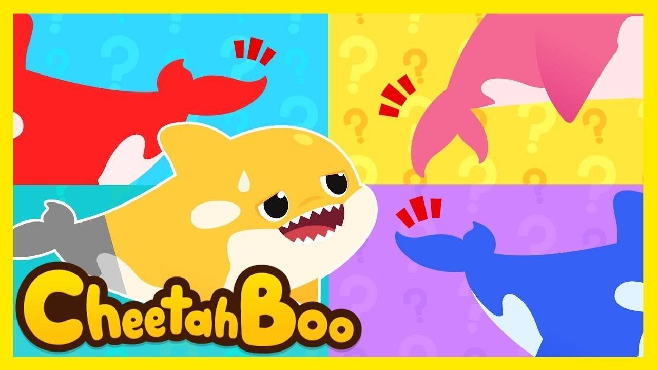 Cheetahboo - Cheetahboo Learn Color - Best Killer whale Color ...