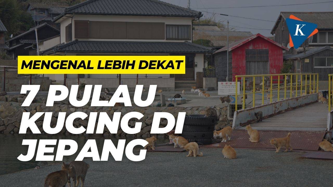 Mengenal lebih dekat 7 Pulau Kucing di Jepang - Kompascom | Vidio