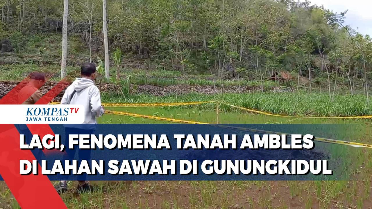 Fenomena Tanah Ambles di Lahan Sawah di Gunungkidul - Kompas TV | Vidio