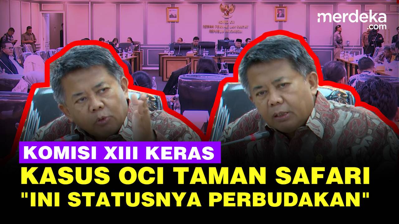 Komisi XIII Keras! Kasus Sirkus OCI Taman Safari: ini Statusnya Seperti ...