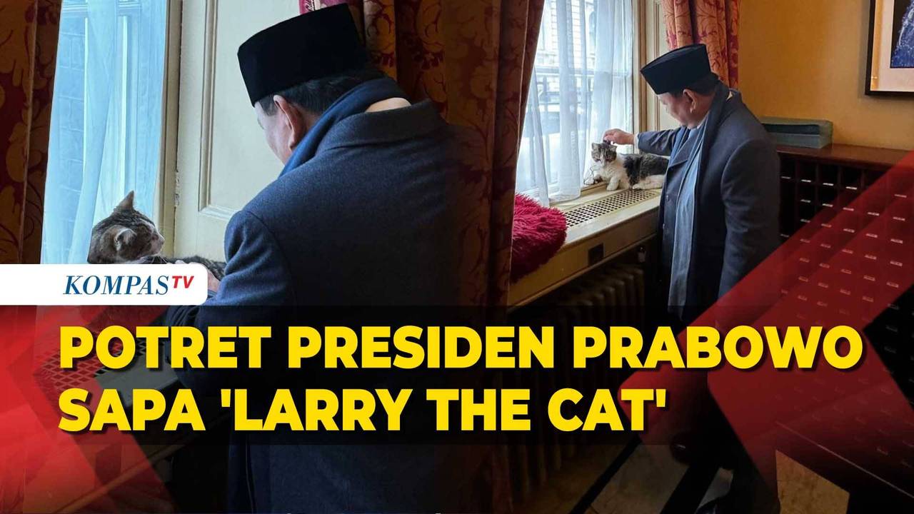 Potret Presiden Prabowo dengan Kucing PM Inggris Larry the Cat, Netizen ...