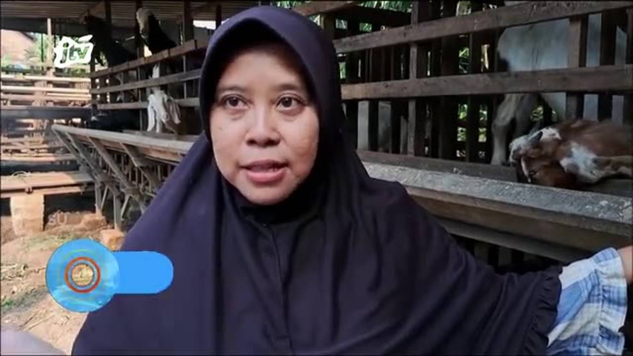 Permintaan Kabing Untuk Kurban Mulai Tinggi - JTV | Vidio