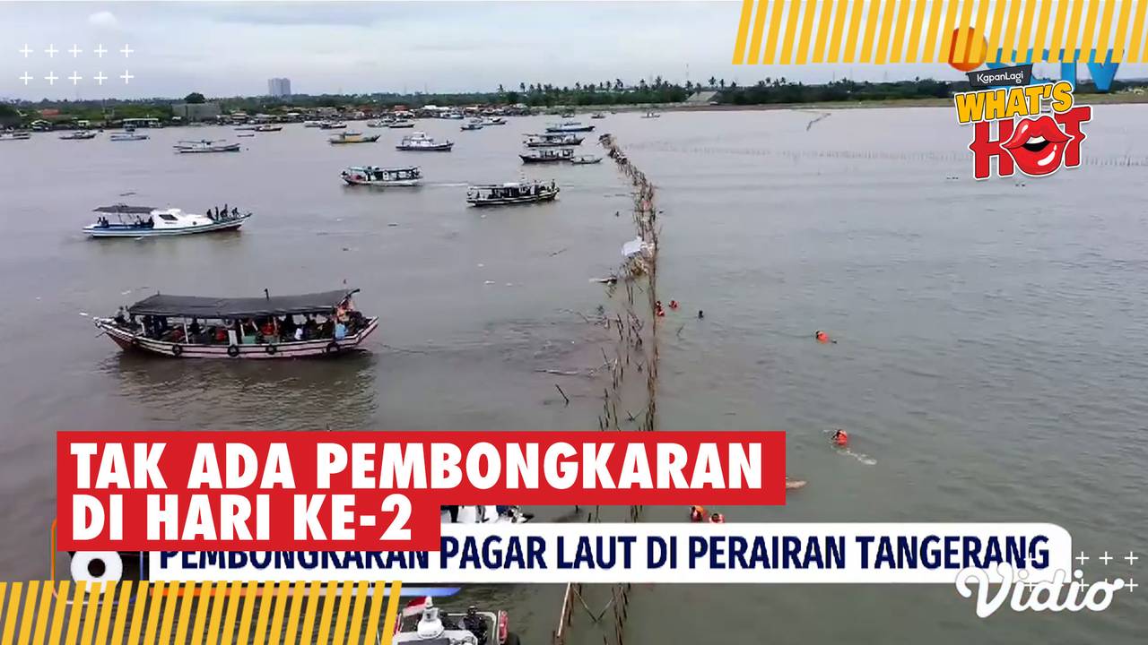 Dari 30km Luas Pagar Laut, Hanya 2km Saja Yang Sudah Dibongkar, Kenapa? | Vidio