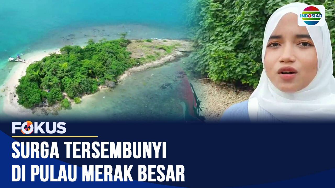 Surga Tersembunyi di Pulau Merak Besar | Fokus - INDOSIAR | Vidio