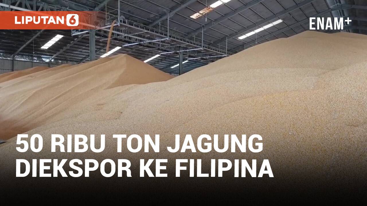 Kementerian Pertanian Ekspor 50 Ribu Ton Jagung ke Filipina - liputan6.com