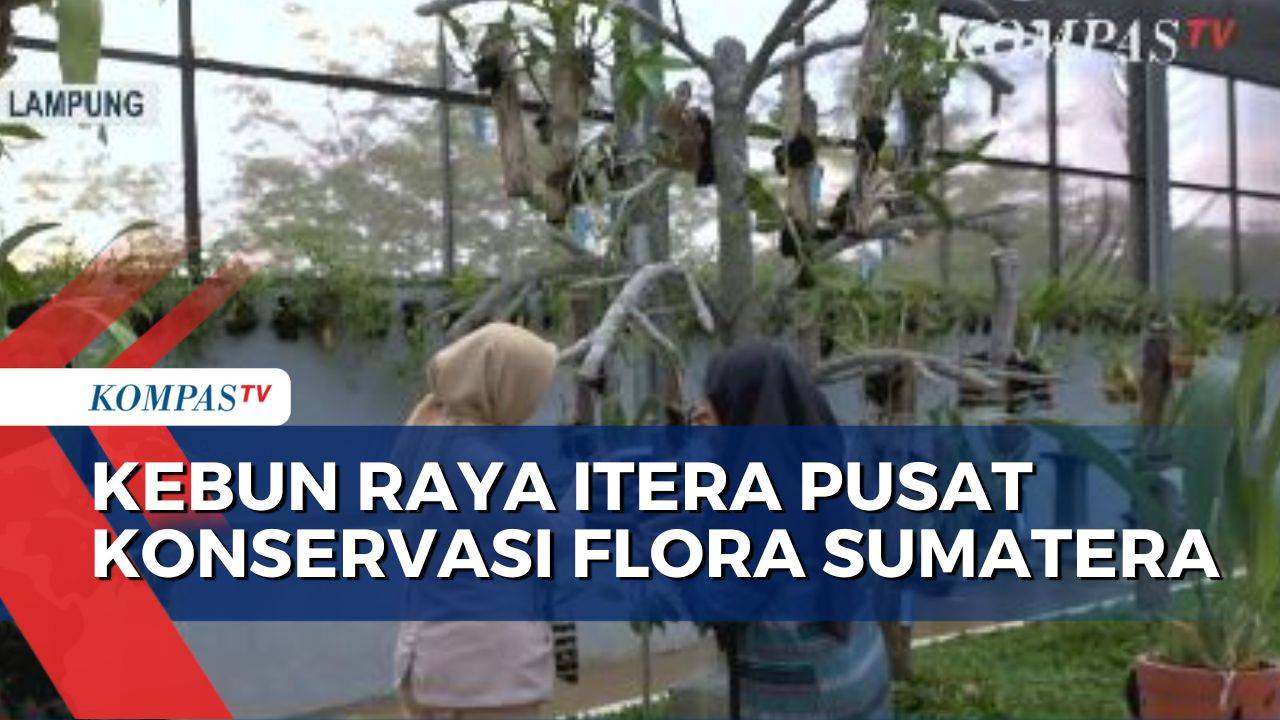 Edukasi dan Eksplorasi Flora Sumatera di Kebun Raya ITERA - Kompas TV ...