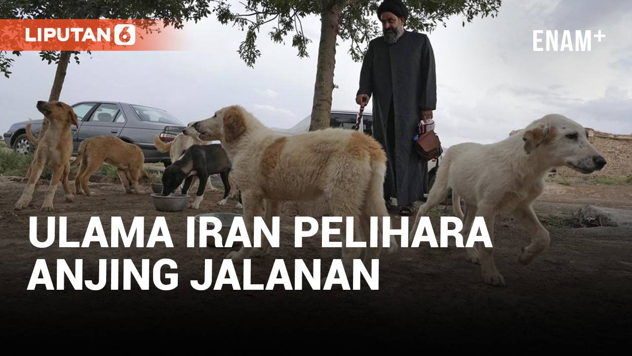 Sayed Mahdi Tabatabaei, Ulama Iran yang Penuh Kontroversi - LiputanEnam ...