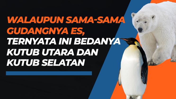 Nonton Video Perbedaan Kutub Utara Dan Kutub Selatan Terbaru | Vidio