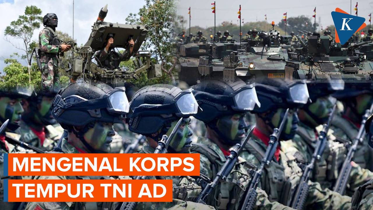 Mengenal Korps Tempur TNI AD Infanteri, Kavaleri, dan Artileri ...