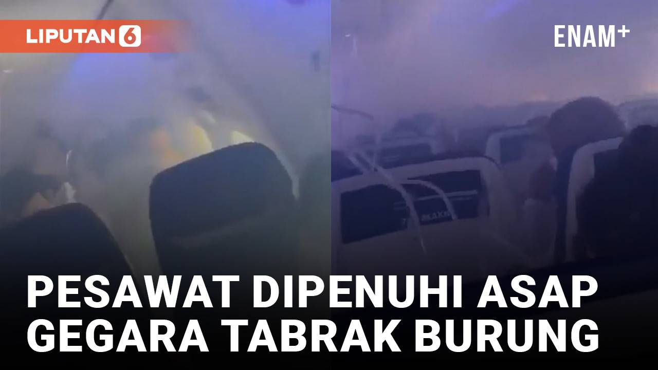 Tegang! Asap Penuhi Kabin Pesawat Gara-gara 'Serangan' Burung ...