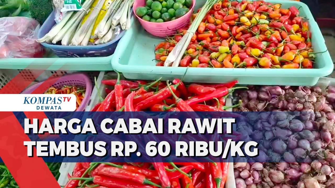 Harga Cabai Rawit Tembus Rp. 60 Ribu/Kg - Kompas TV | Vidio