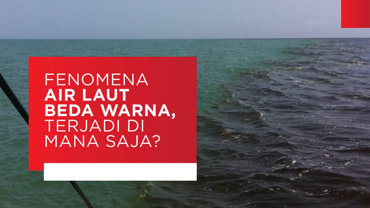 Fenomena Air Laut Beda Warna, Terjadi di Mana Saja? - BTV | Vidio