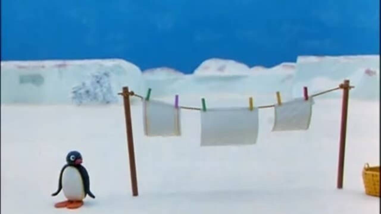 pingu surf