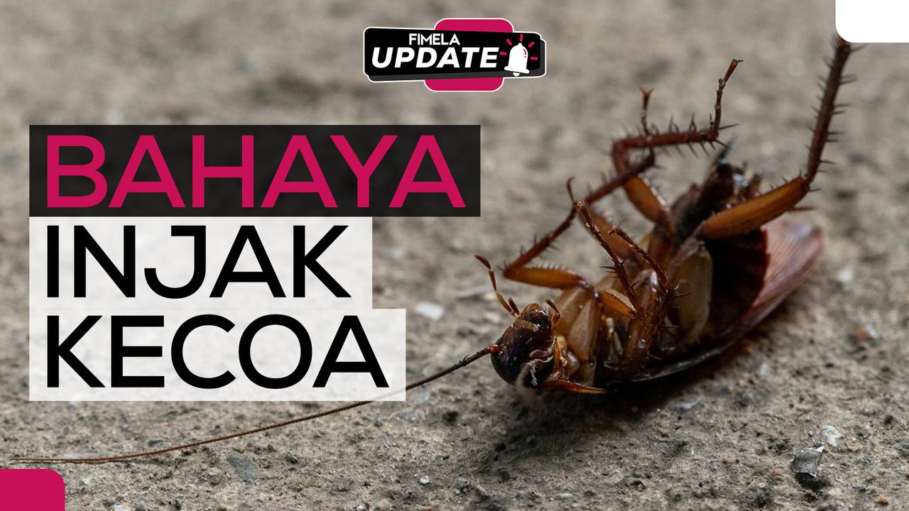 Jangan Injak Kecoa! Ini Dampak Buruknya bagi Kesehatan | Vidio