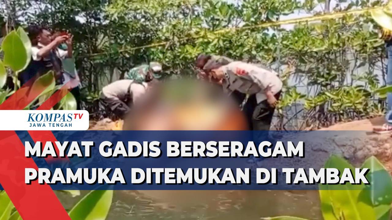 Mayat Gadis Berseragam Pramuka Ditemukan Di Tambak - Kompas TV | Vidio