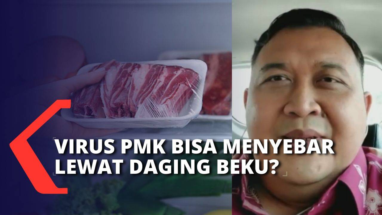Apakah Virus PMK Ternak Bisa Menyebar Lewat Daging Beku? Ini Kata Dosen ...
