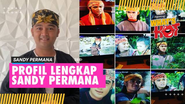 Profil Sandy Permana, Aktor Laga Kolosal Yang M3n1ngg4l Dunia Diduga ...