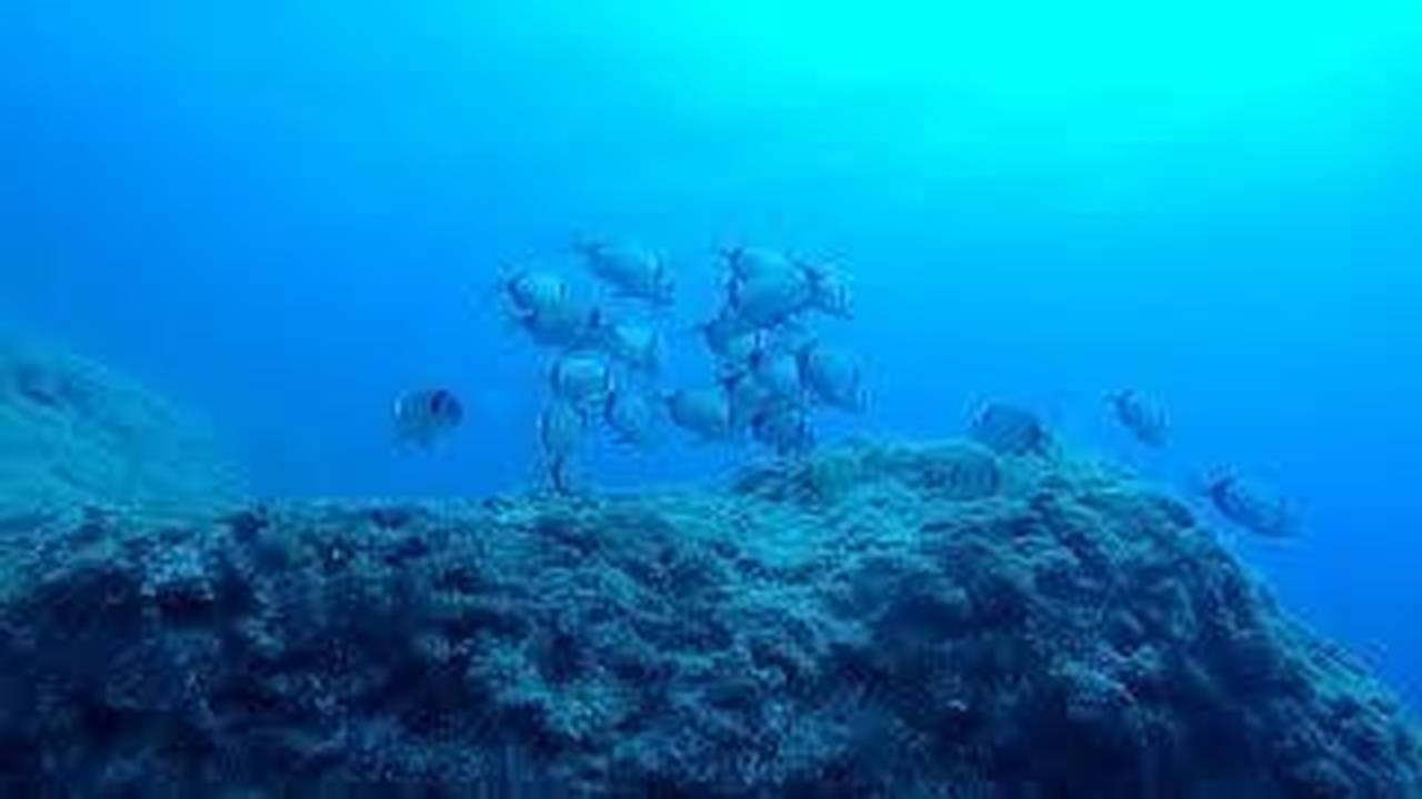 Diving in Turkey! | Vidio