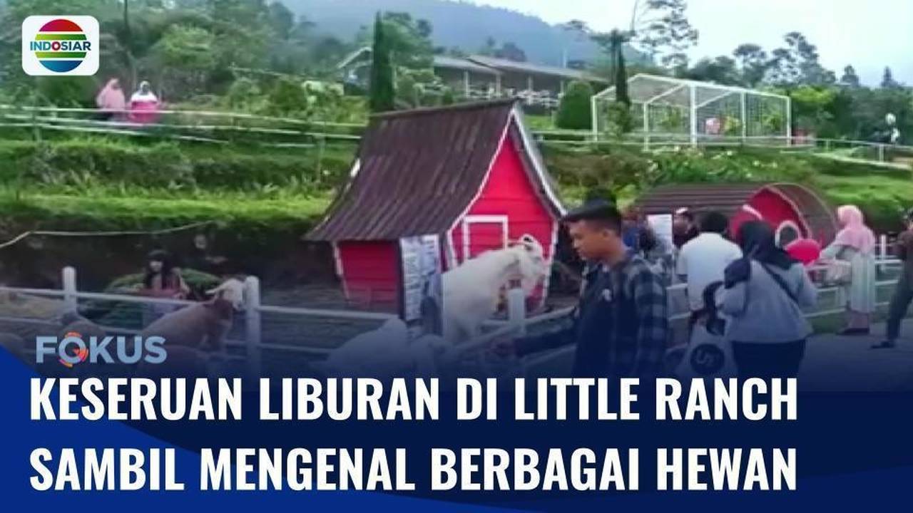 Little Ranch, Wisata Peternakan Ala Selandia Baru di Semarang | Fokus ...