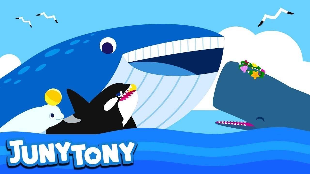 JunyTony - Animal Songs for Kids - Whale Song for Kids (2022)