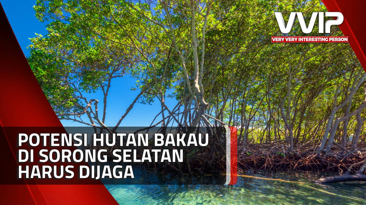 Prestasi Sorong Selatan, Berhasil Berantas Malaria Hingga Penghasil ...
