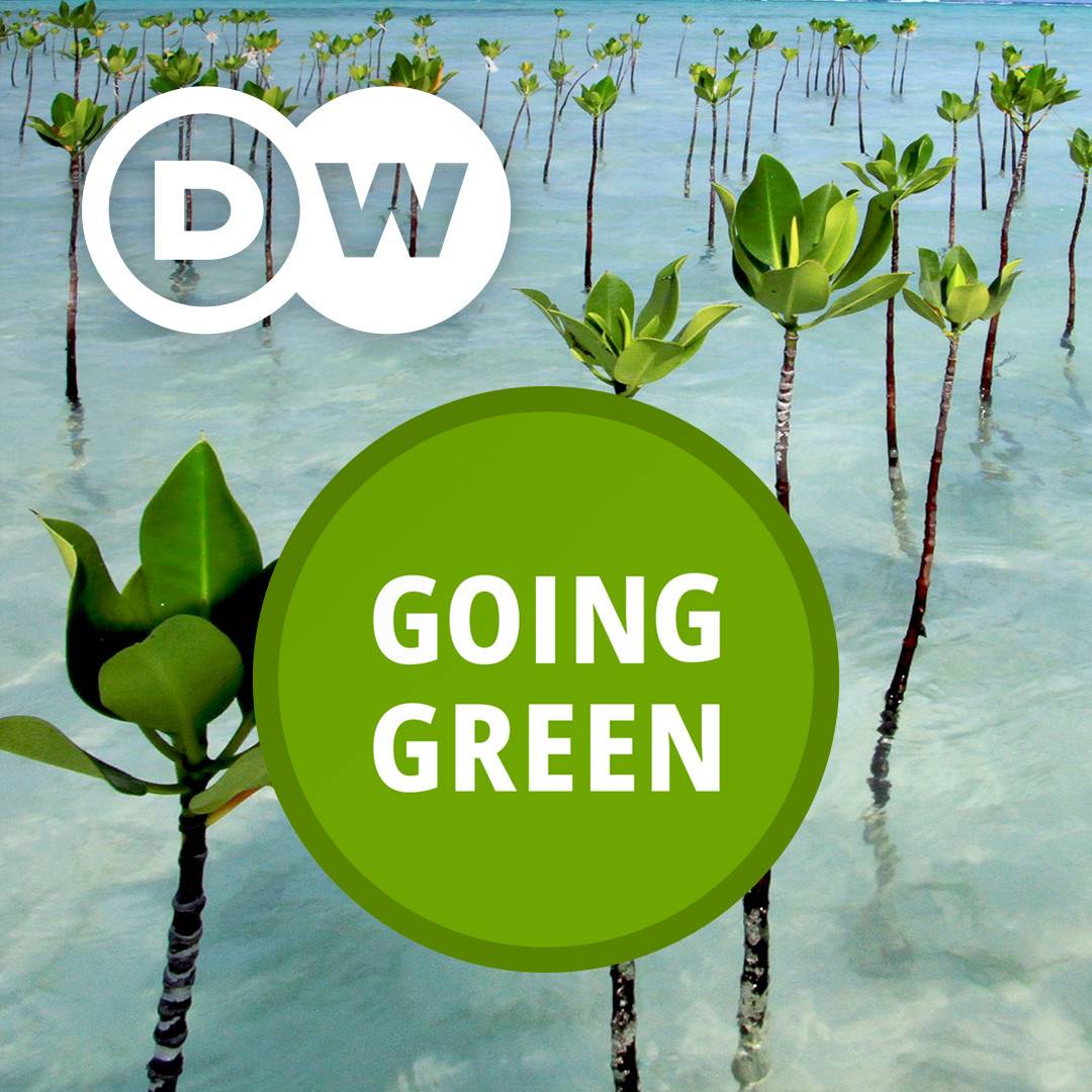 DW Going Green (Episode Lengkap & Terbaru) | Vidio