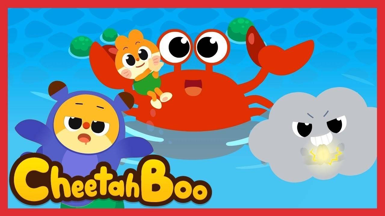 Cheetahboo - Sea Animal Songs - Clapping Seals Song (2023)
