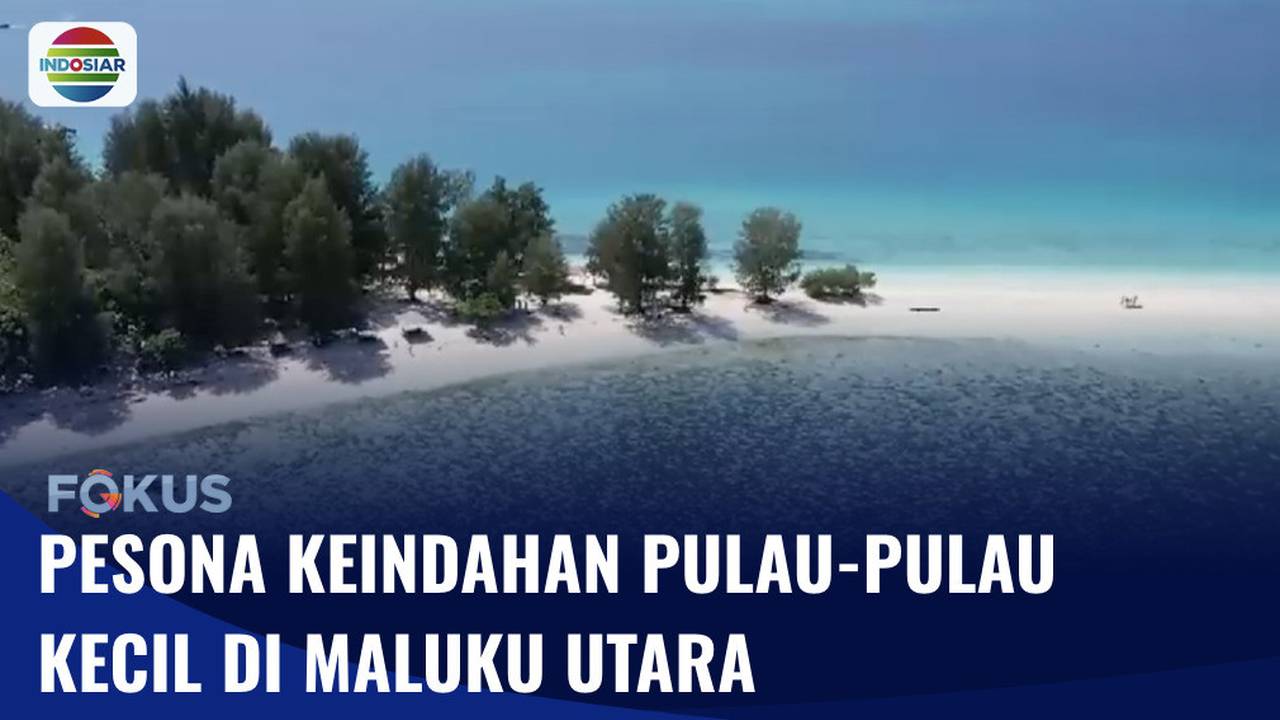 Tersimpan Keindahan Tersembunyi dari Wisata Bahari hingga Wisata ...