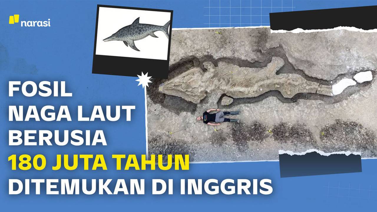 Fosil Naga Laut Berusia 180 Juta Tahun Ditemukan di Inggris - Narasi ...