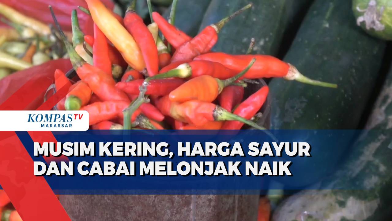 Musim Kering, Harga Sayur Dan Cabai Melonjak Naik - Kompas TV | Vidio