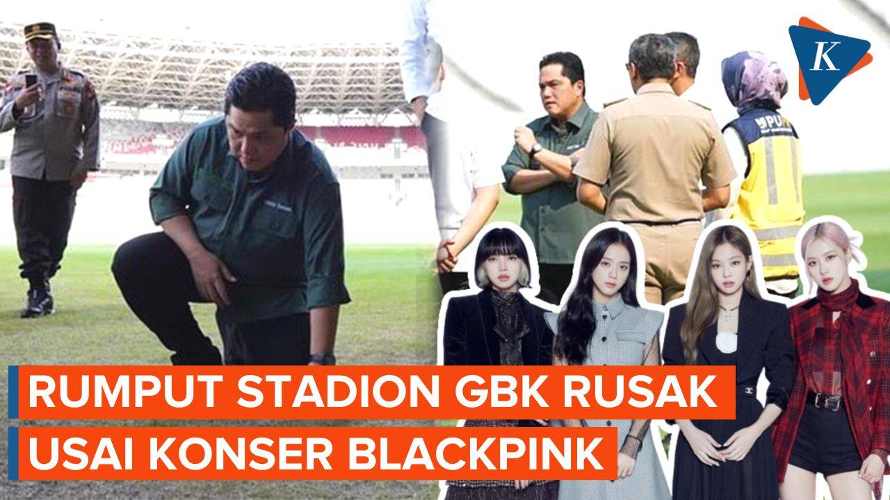 Rumput Stadion Rusak, Erick Thohir Larang Segala Bentuk Kegiatan di GBK ...