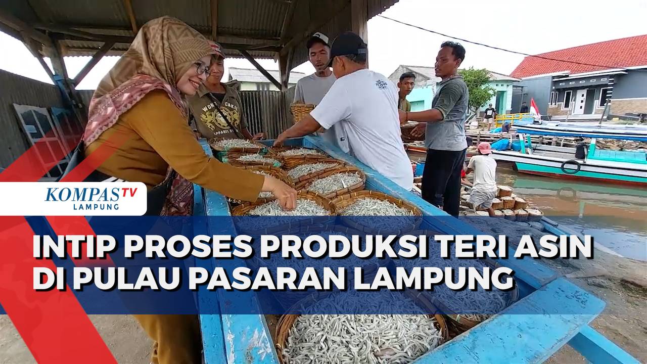 Intip Proses Produksi Teri Asin di Pulau Pasaran Lampung - Kompas TV ...