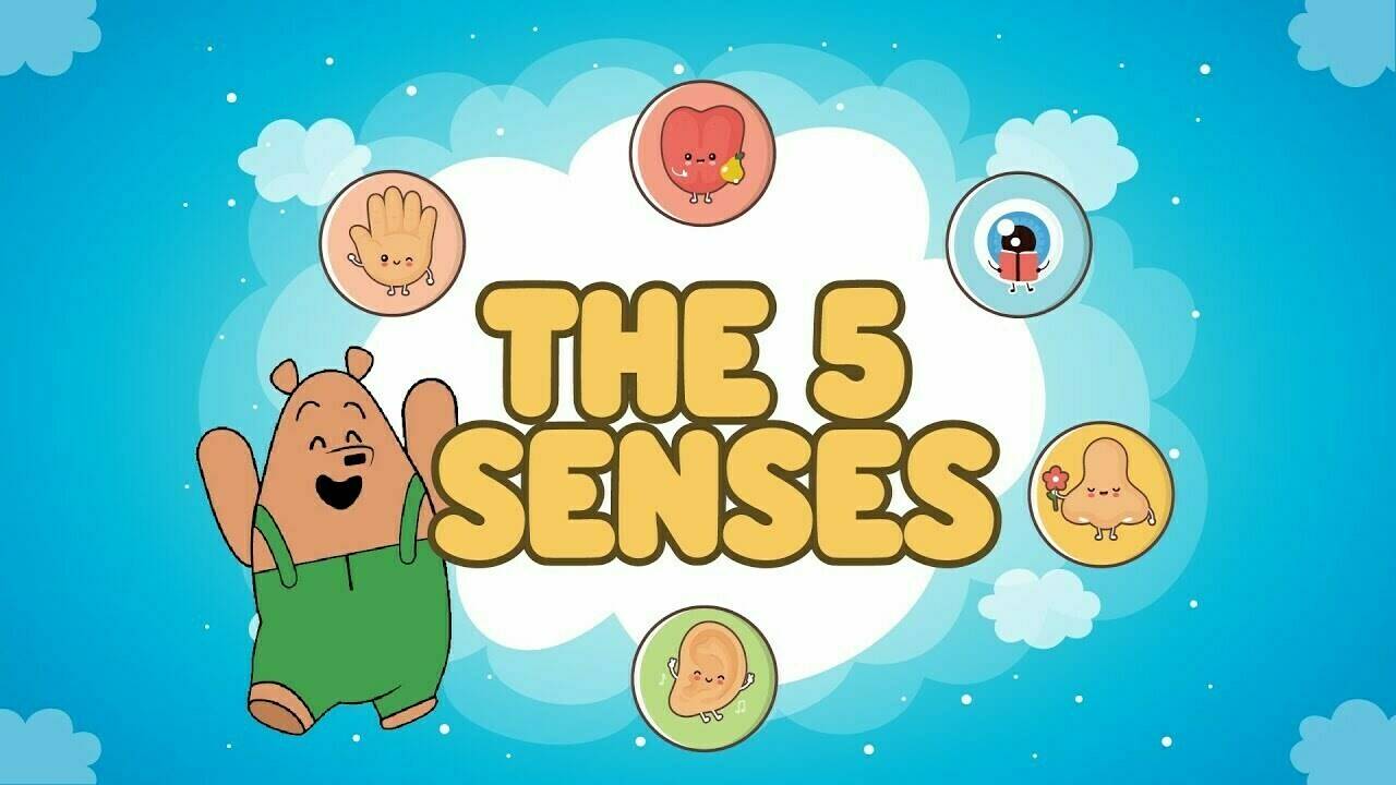 The Five Senses | Science