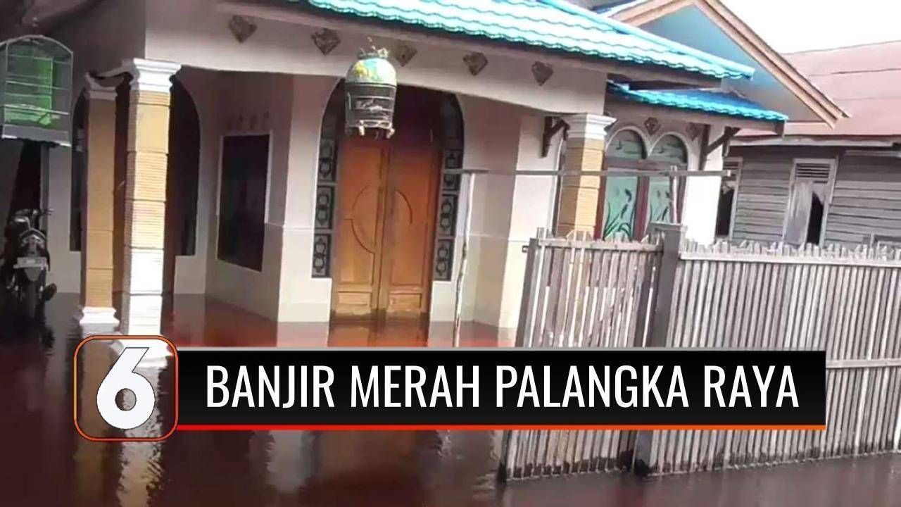 Sungai Kahayan Meluap, Banjir Berwarna Merah Kehitaman Merendam Rumah ...