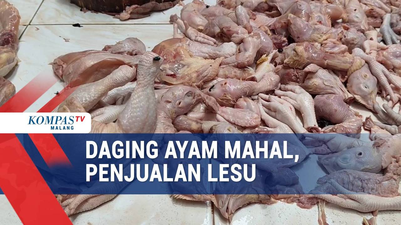 Harga Daging Ayam Potong Mahal, Omzet Pedagang Turun - Kompas TV