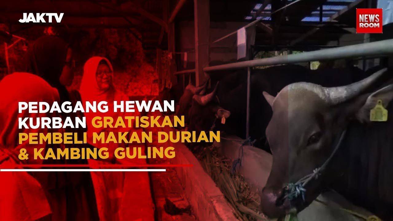 Pedagang Hewan Kurban Gratiskan Pembeli Makan Durian & Kambing Guling ...