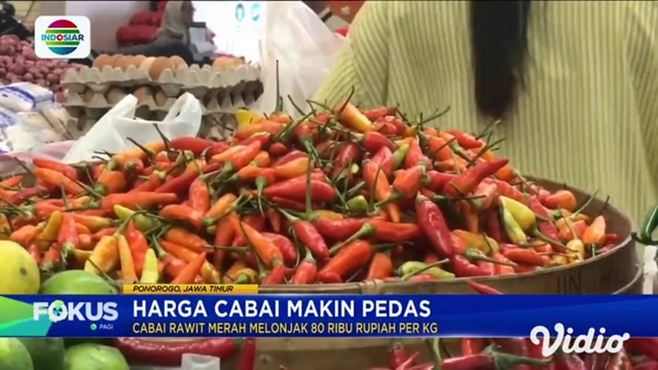 Harga Cabai Semakin Pedas - Indosiar Regional | Vidio