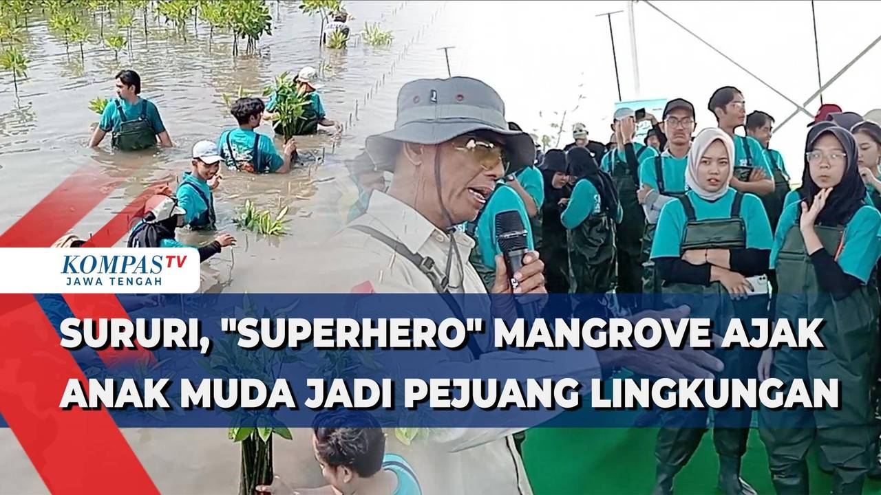 Sururi, Superhero Mangrove Ajak Anak Muda jadi Pejuang Lingkungan - Kompas TV | Vidio