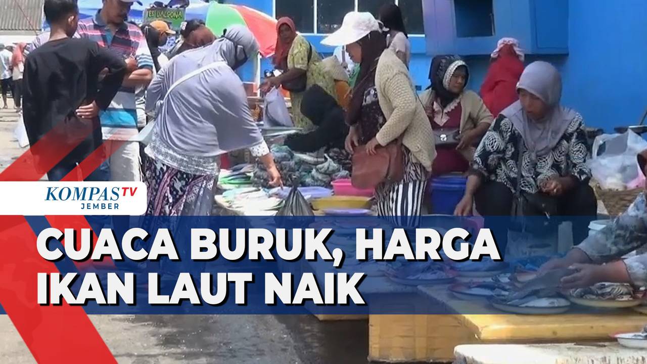 Cuaca Buruk, Harga Ikan Laut di TPI Puger Naik - Kompas TV | Vidio