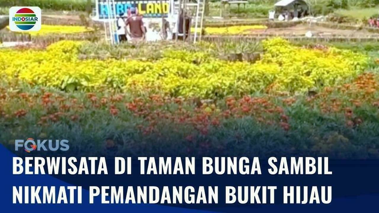 Nikmati Pemandangan Bukit Hijau dan Sejuknya Udara Lereng Gunung di ...