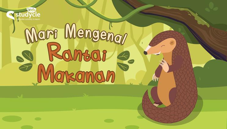 Nonton Studycle Kids Terlengkap | Vidio