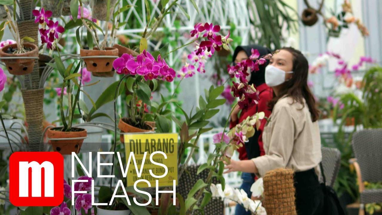 Keindahan Ragam Bunga di Batu Love Garden | Vidio