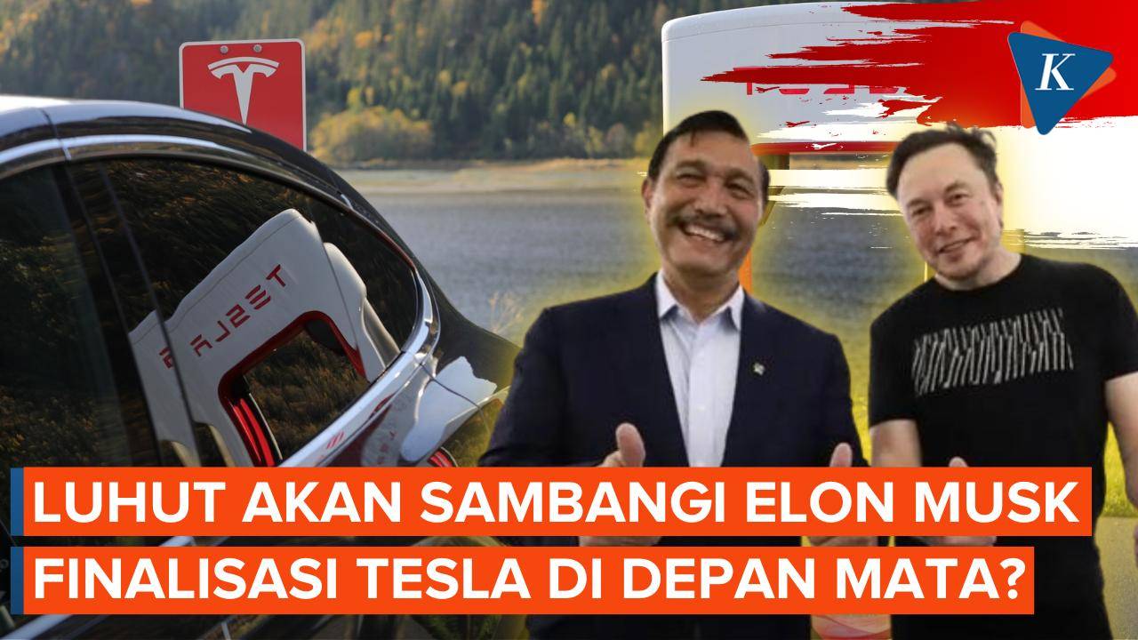 Luhut Mau Temui Elon Musk Lagi, Ada Apa? - Kompascom | Vidio